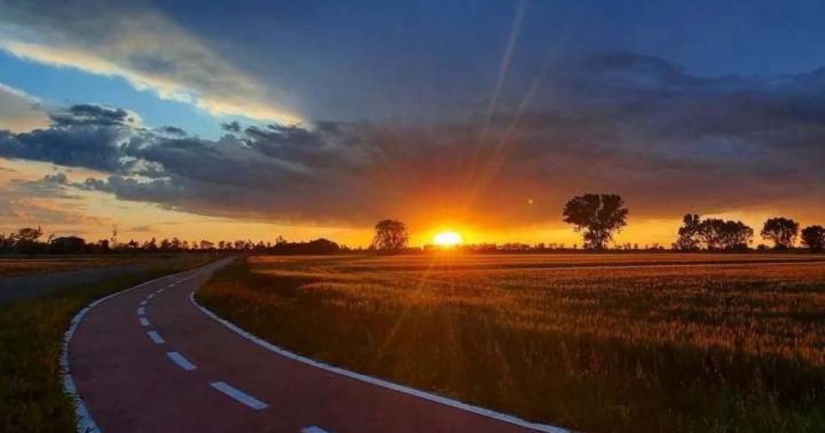 Comune di Sorbolo Mezzani - Vivere il Comune